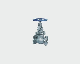 DUAL FLAP CHECK VALVE Stainless Steel - AVK Industrial Australia